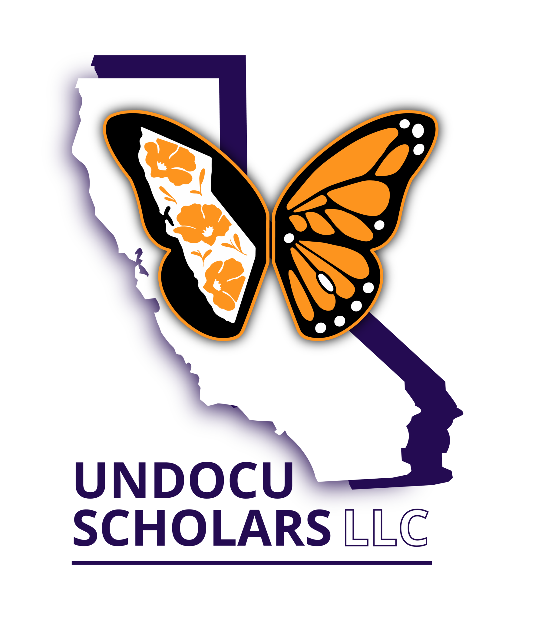 About - UndocuScholars LLC